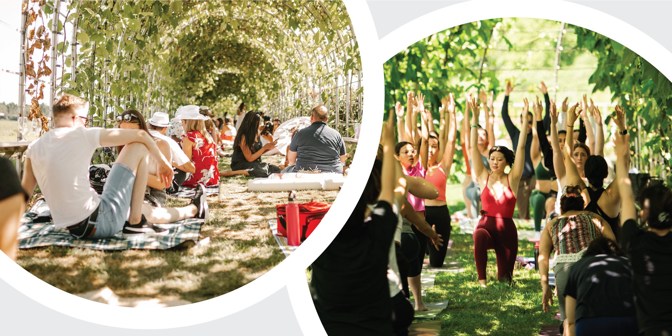 Summer Series: Vinyasa and Vino at LuLu Island Winery | True Yoga Steveston